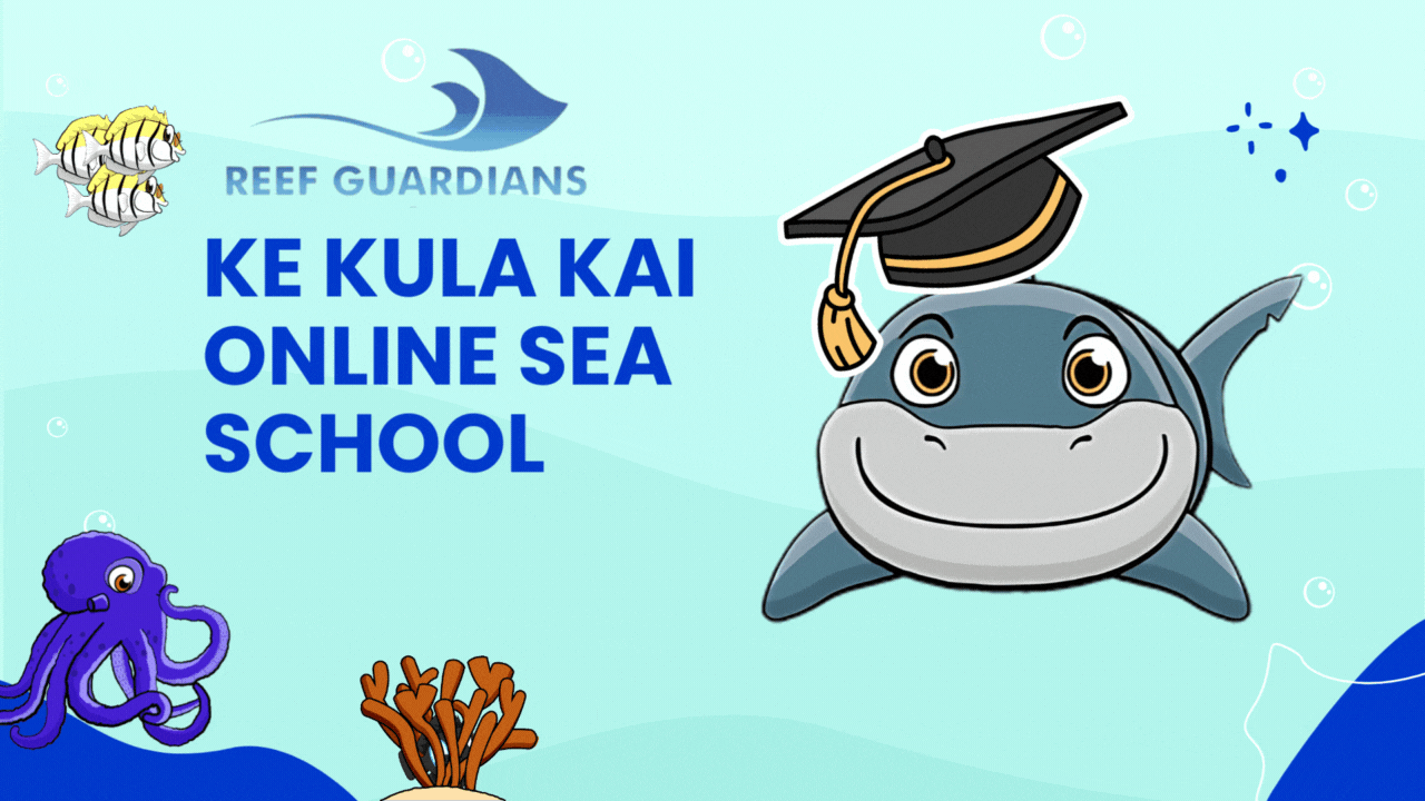 Ke Kula Kai Online Sea School