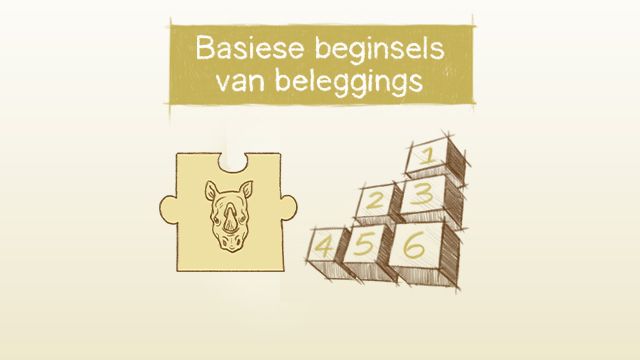 Die basiese beginsels van beleggings - Big 5 Beleggings reeks - Renoster