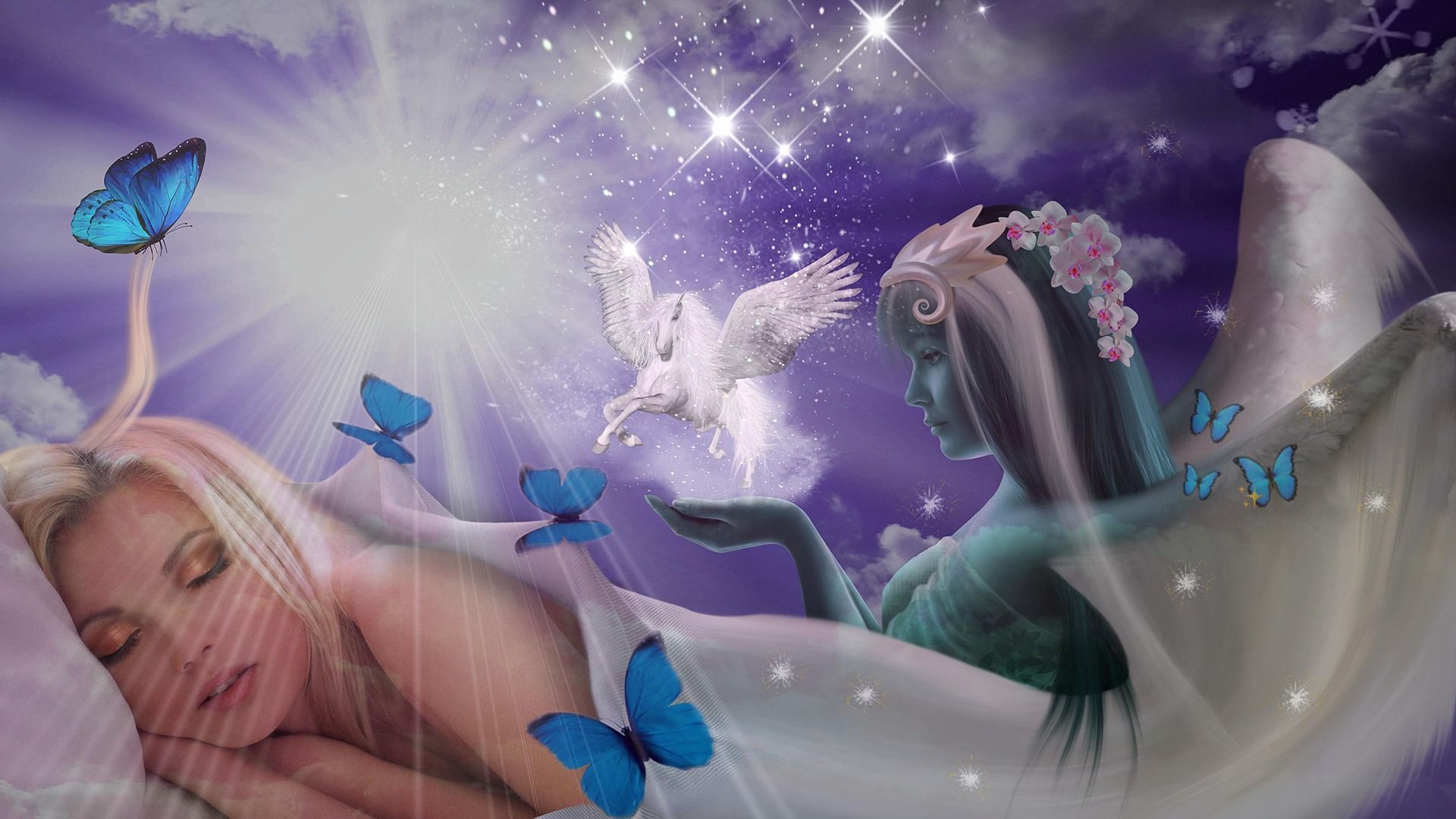 Dream's 101: A Metaphysical Guide to Understanding the Language of Your ...