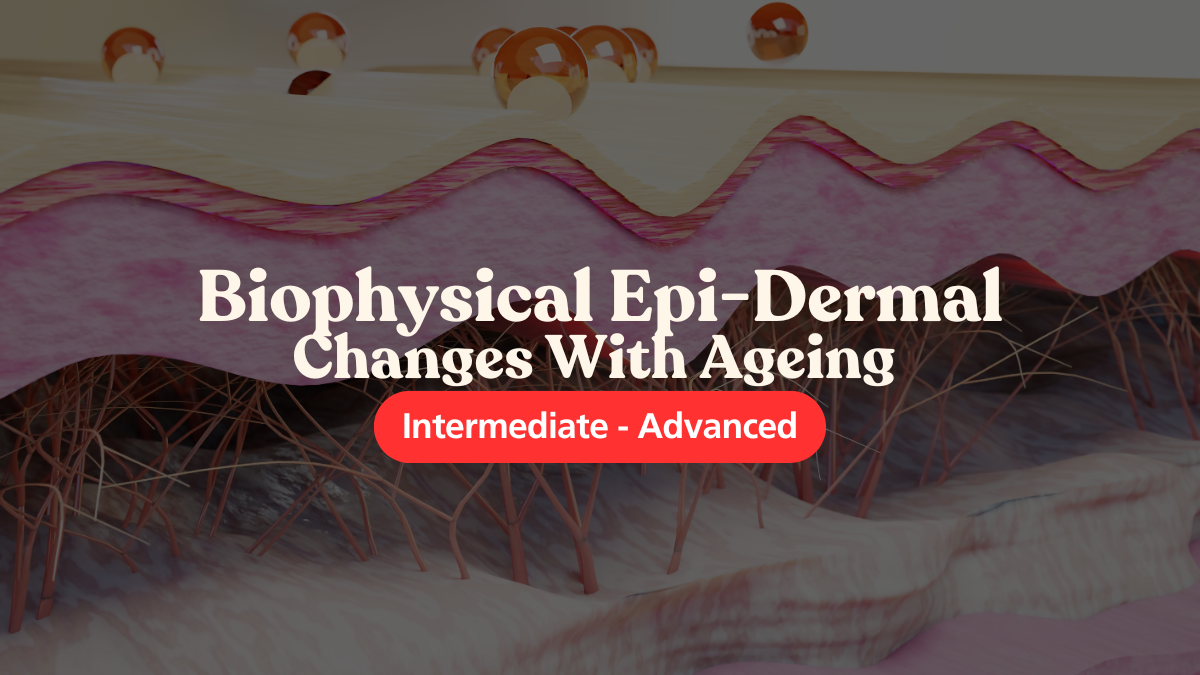 Biophysical Skin Changes With Ageing