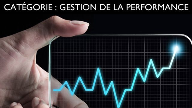 Diagnostic et amélioration de la performance des entreprises