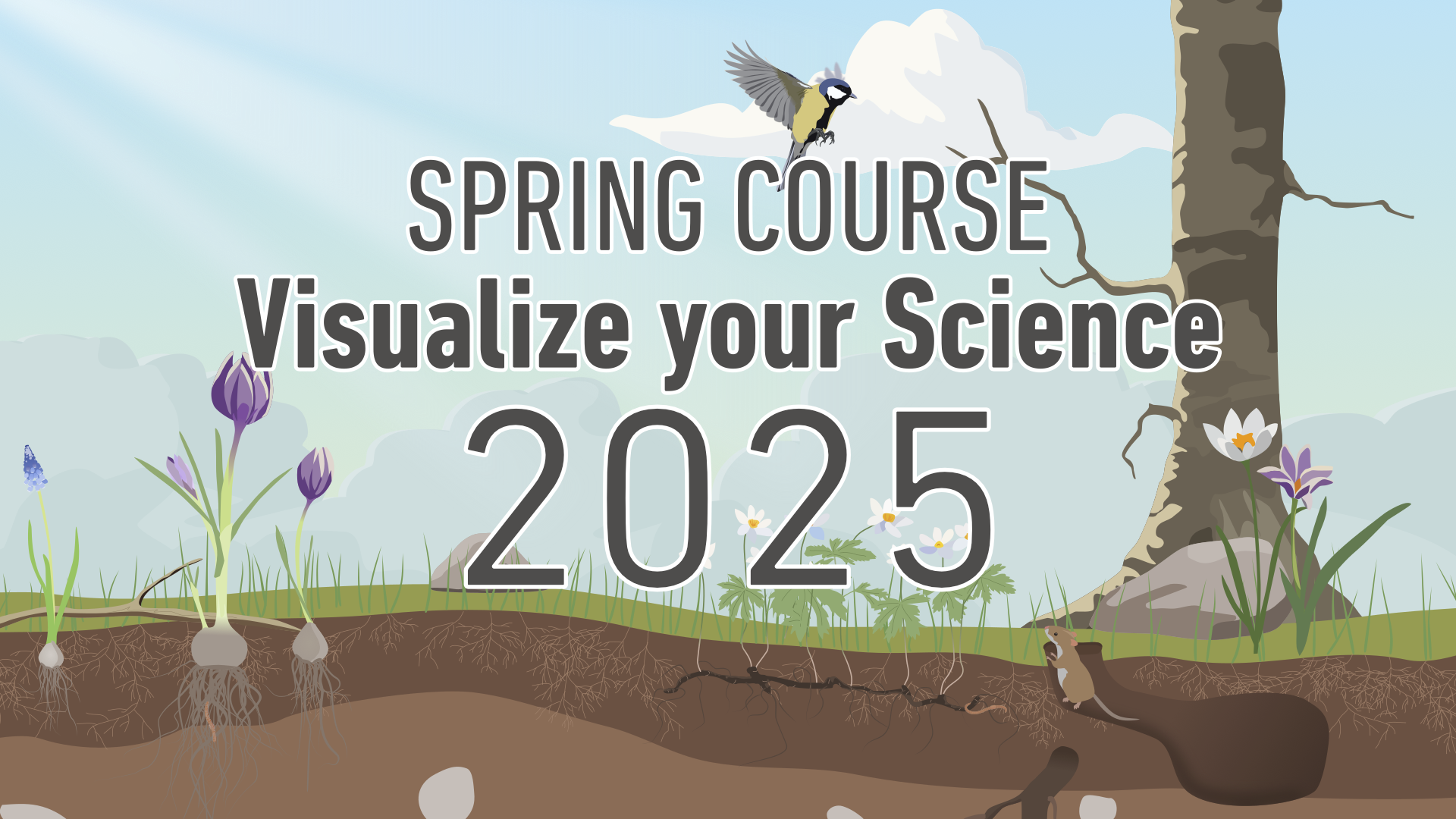 Visualize Your Science Spring course