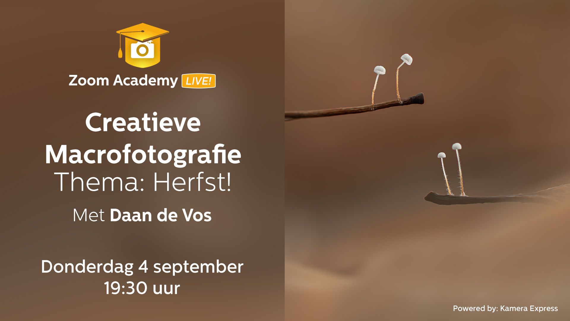 Masterclass Creatieve Macrofotografie Herfst - Zoom Academy LIVE met ...