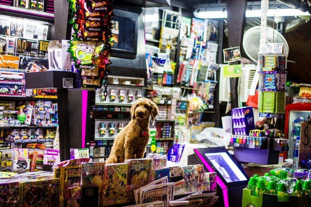 3 Shocking Things To Avoid at the Pet Store (And Why)