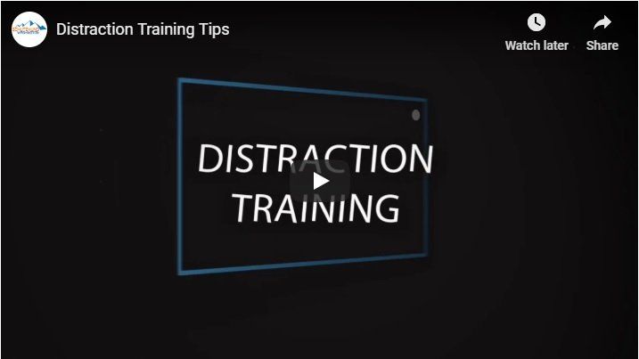Distraction Training