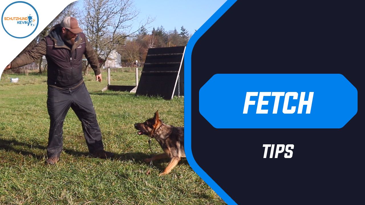 FETCH Tips