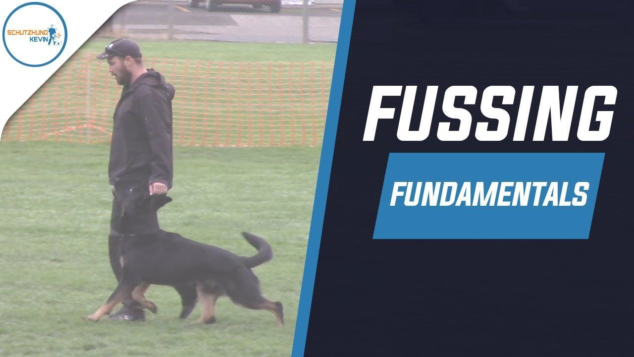 FUSSING FUNDAMENTALS