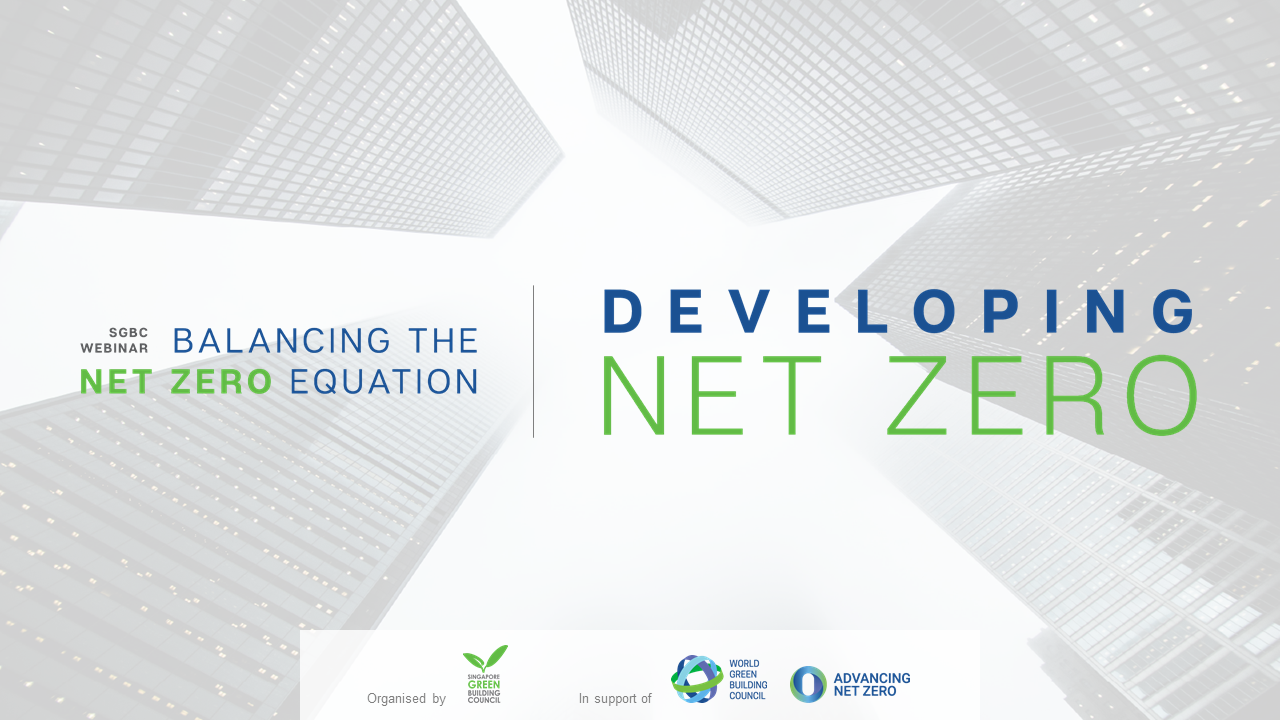 Balancing the Net Zero Equation Part 2/4: Developing Net Zero