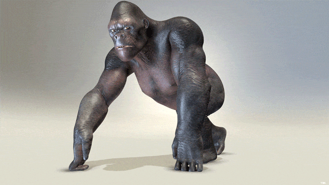 Animate a Gorilla Walk Cycle | SOPHORIA Academy