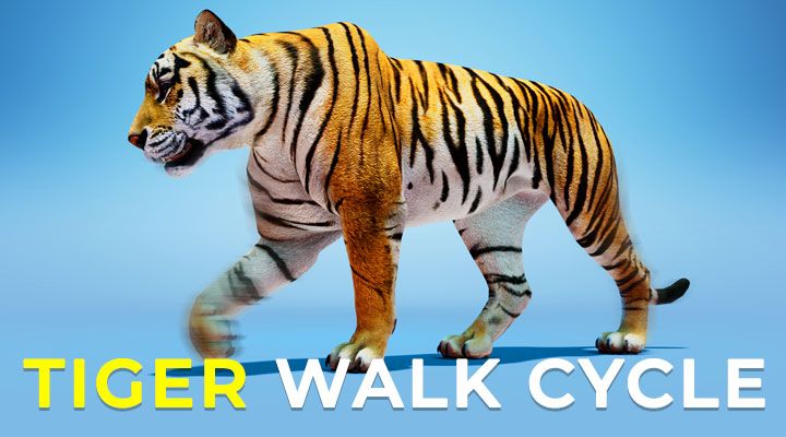 Animate a Tiger Walk Cycle | SOPHORIA Academy