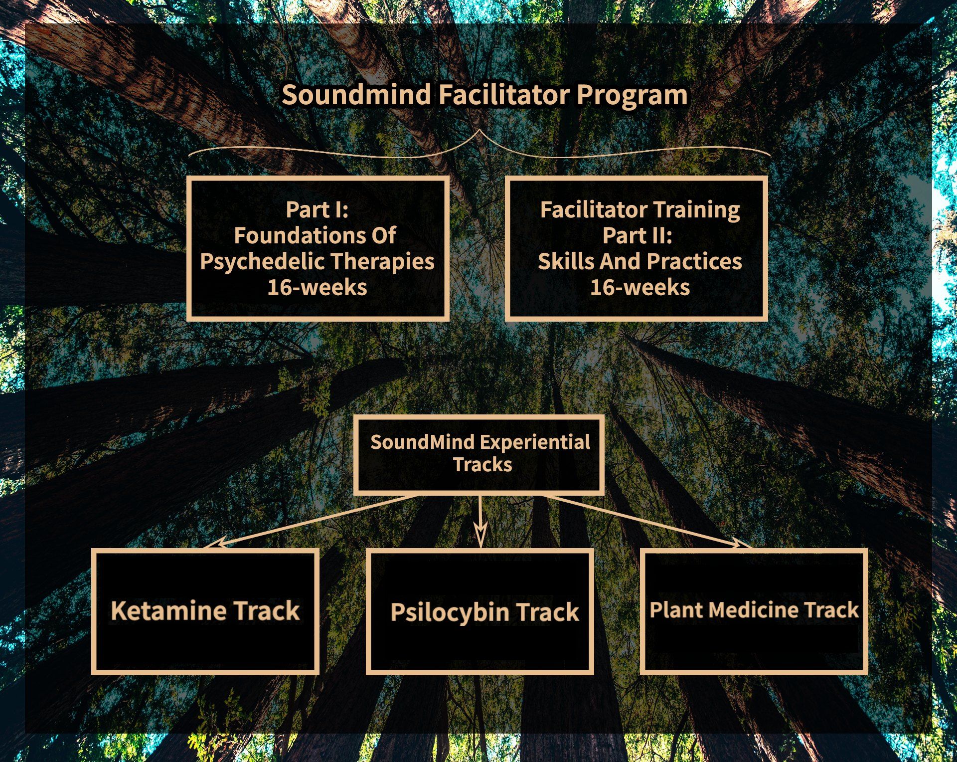 SoundMind Psychedelic Facilitator Training