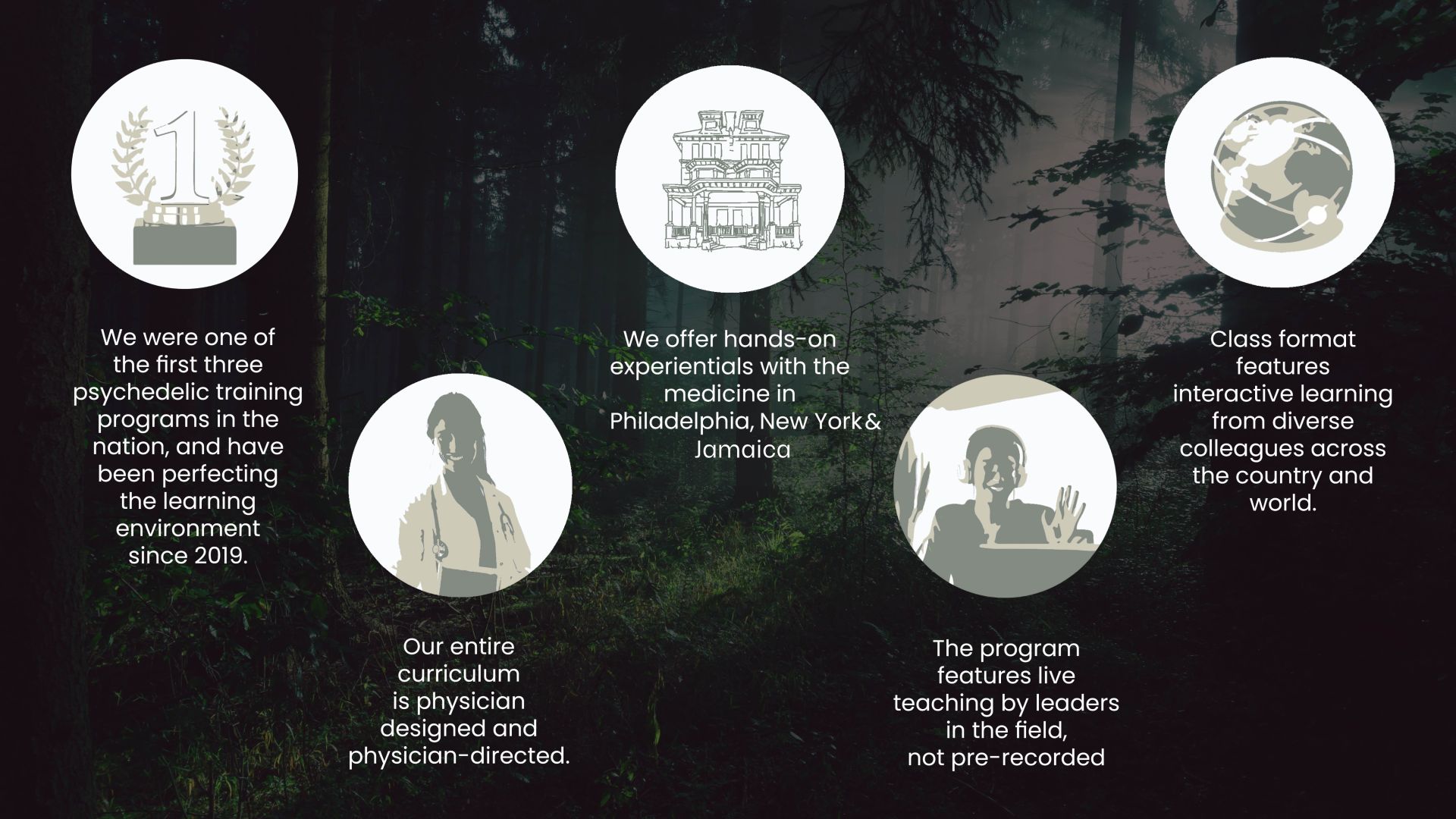 SoundMind Psychedelic Facilitator Training