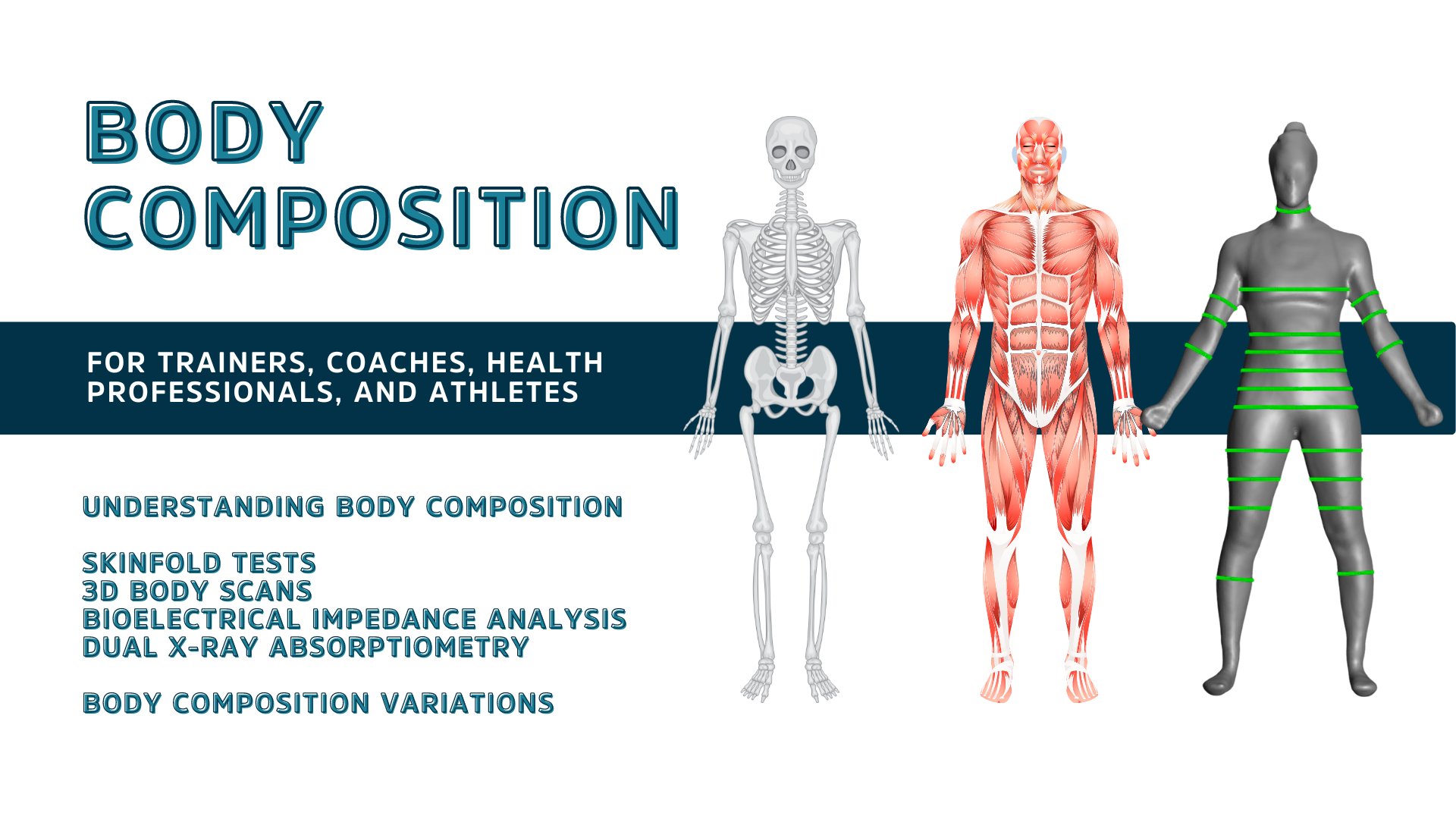 Body Composition