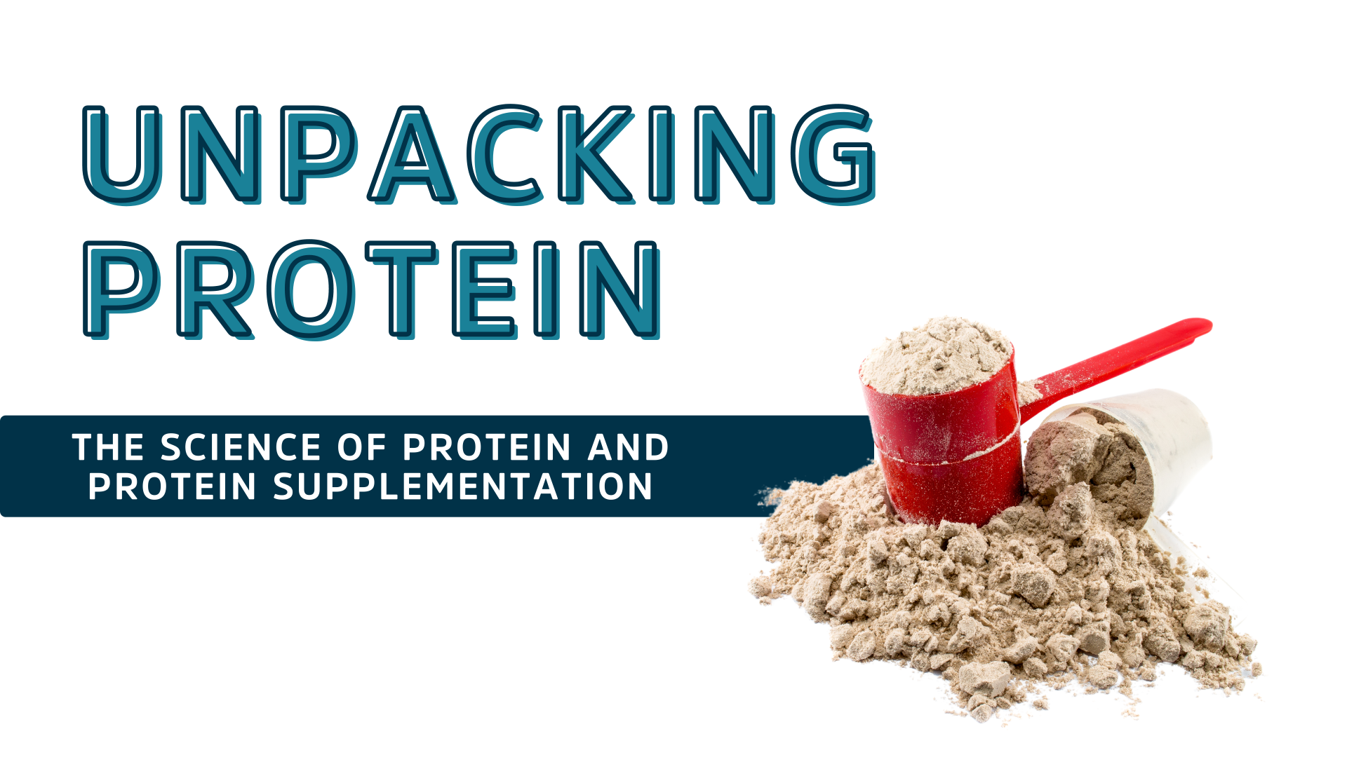 All About Protein