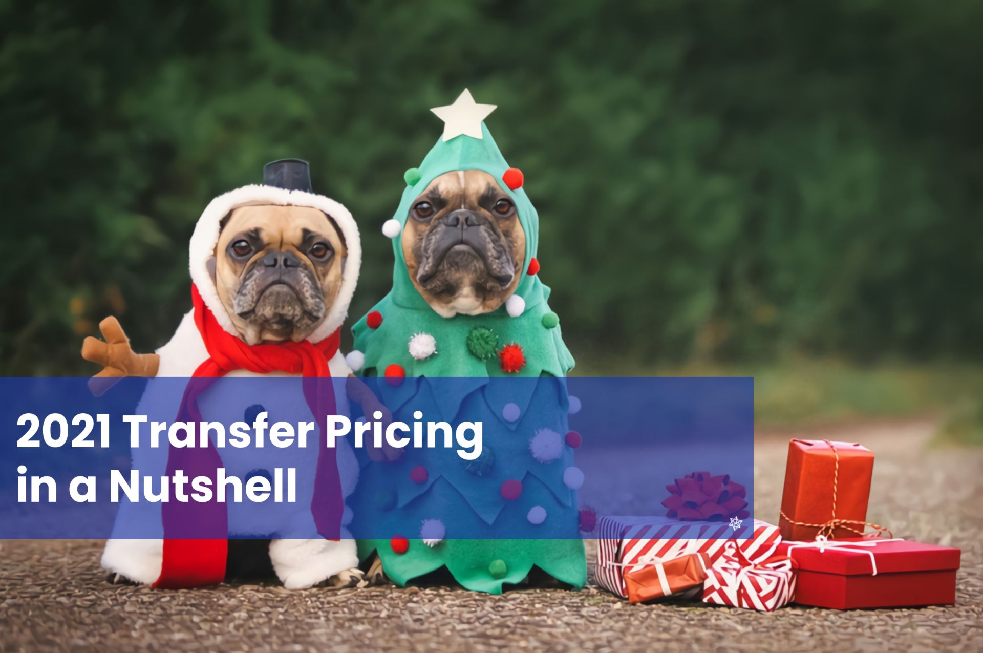 2021 Transfer Pricing in a Nutshell