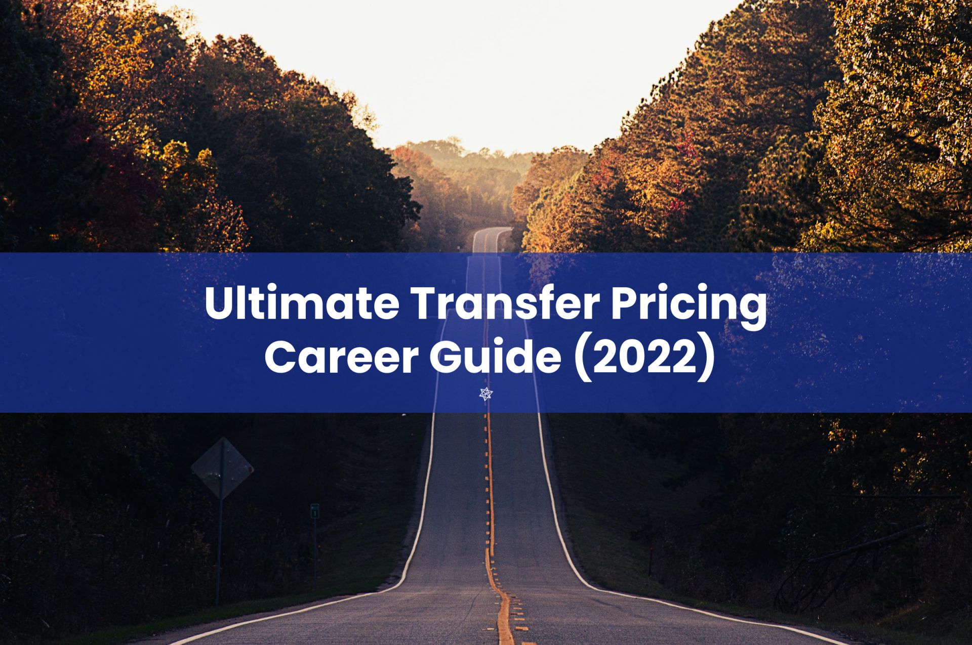 Ultimate Transfer Pricing Career Guide (2022)