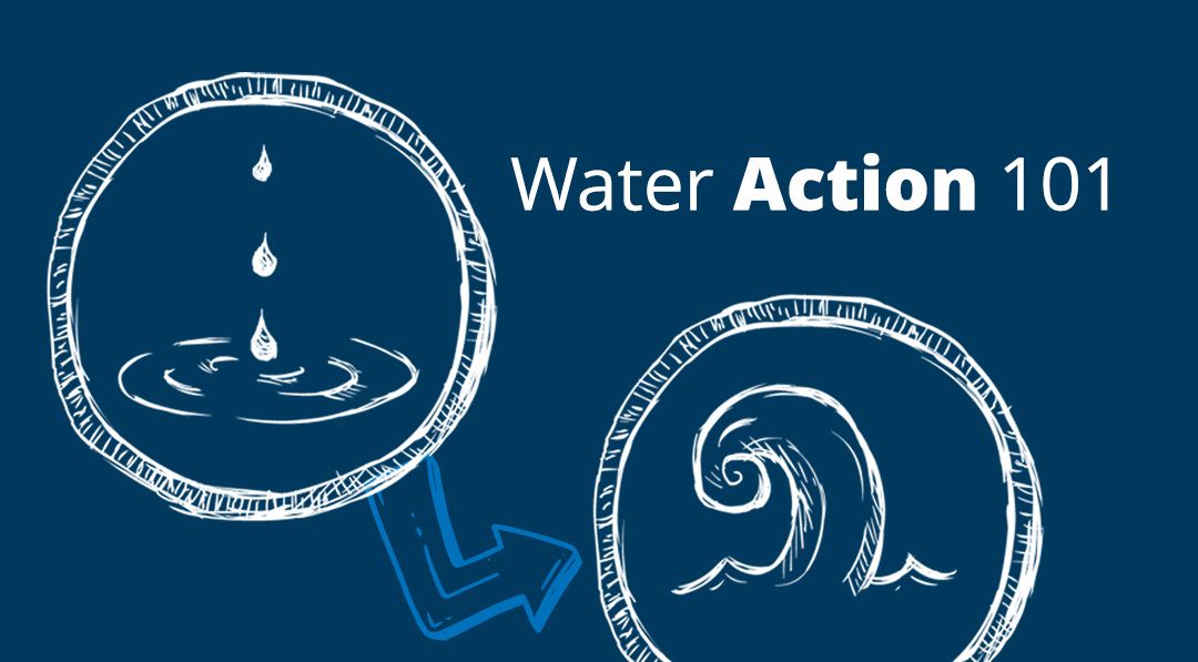 Water Action 101