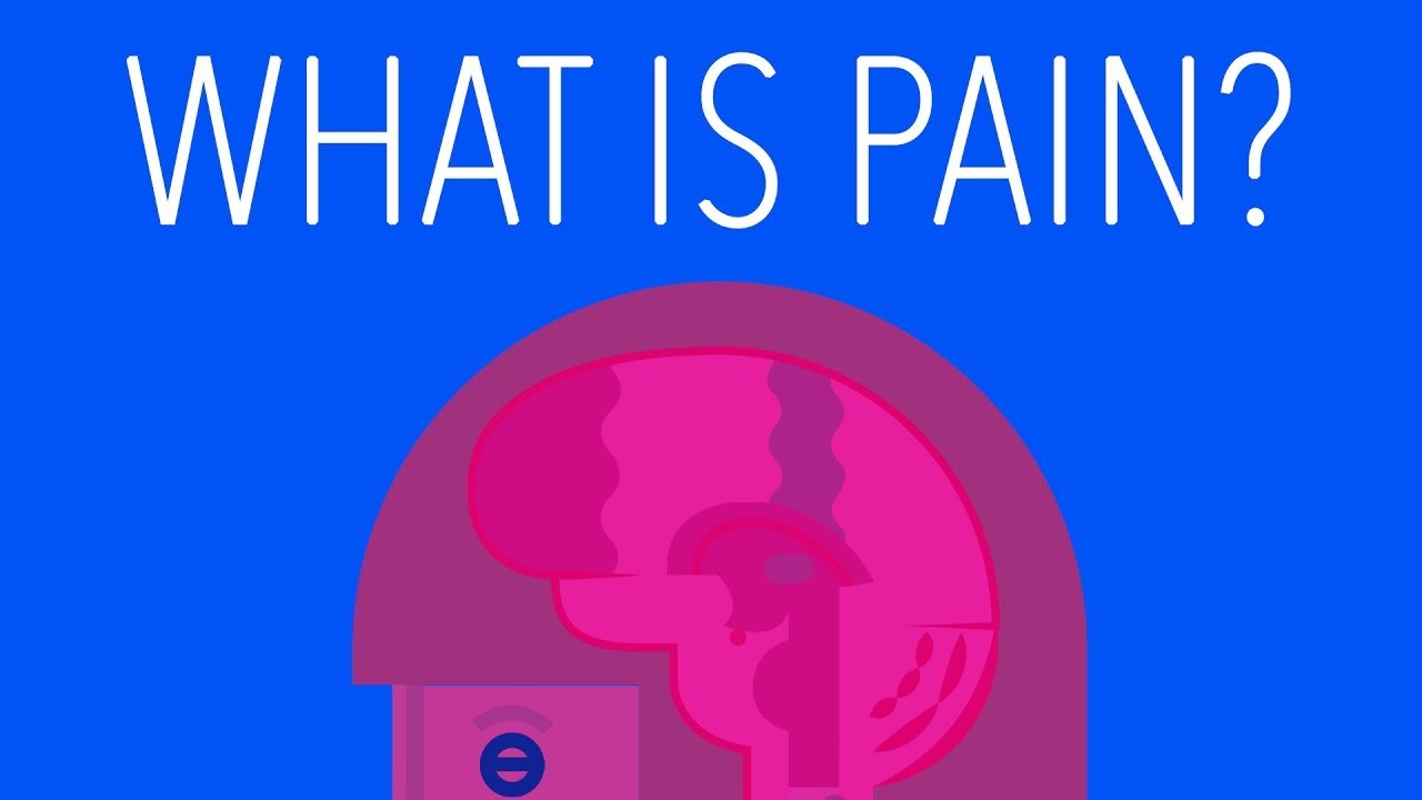 Pain Science Education