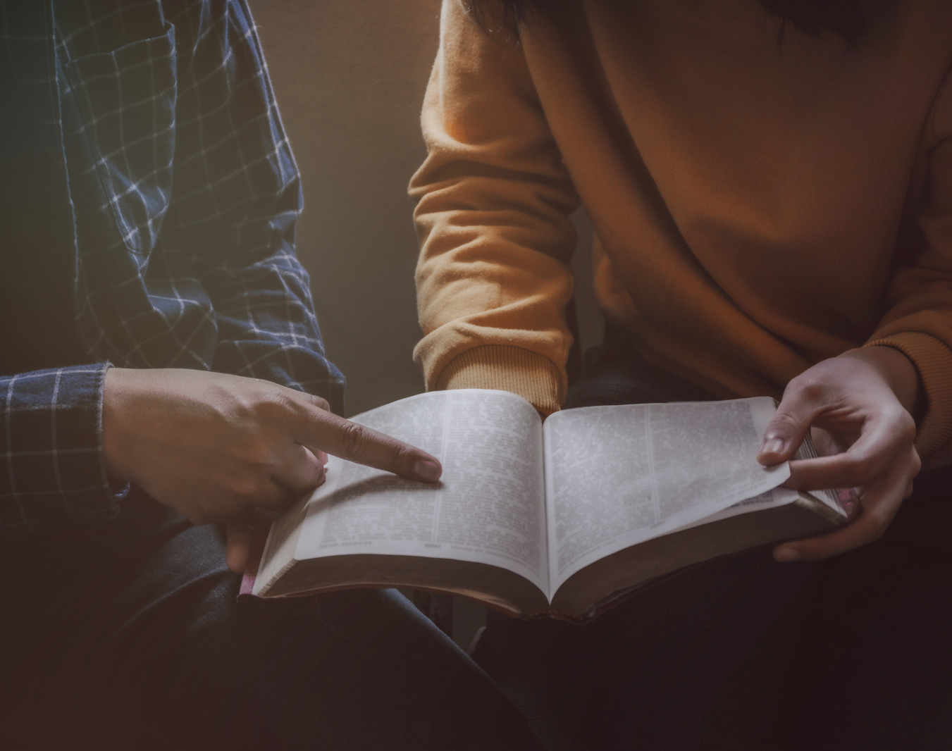 Line Upon Line PRO - verse by verse Genesis to Revelation