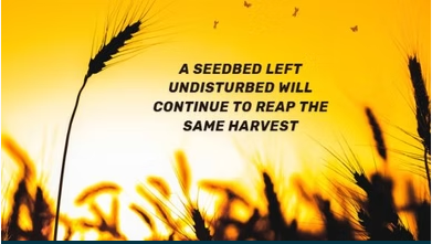Universal Principle - Sowing and Reaping