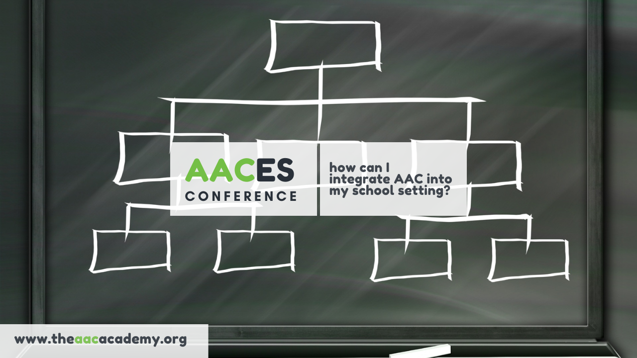 Transforming AAC Practices: Insights on a Specific Language System ...