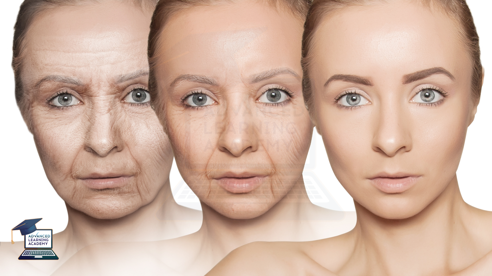 The Facial Ageing Process