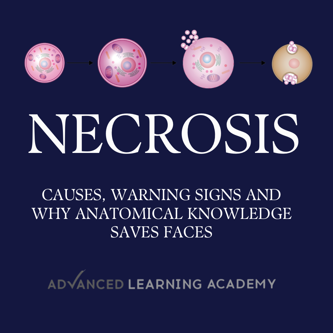 Necrosis in Aesthetic Practice: Causes, Warning Signs and Why ...