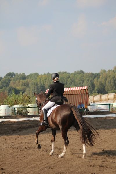 Ethical challenges inherent in dressage and horse sports.