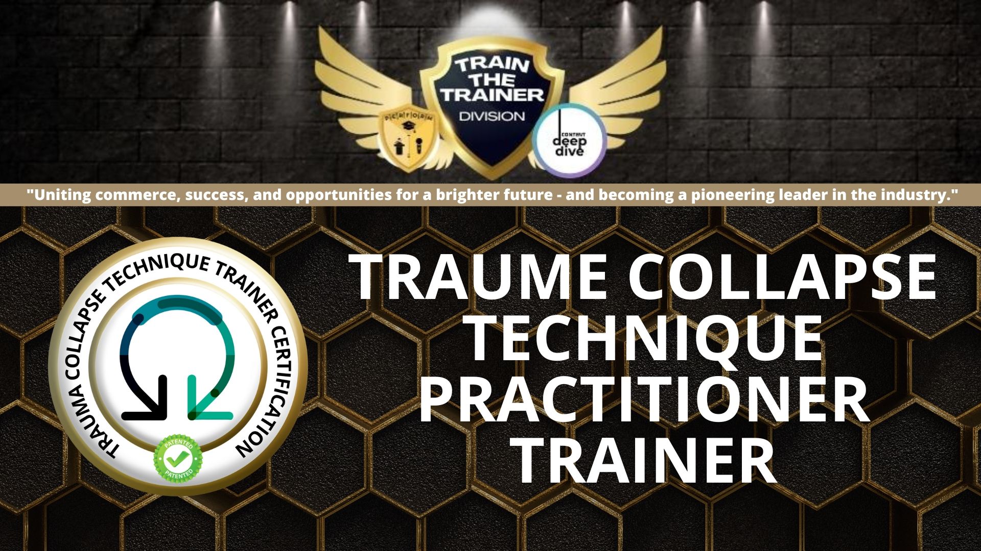 Trainer: Trauma Collapse Technique Trainer Certification
