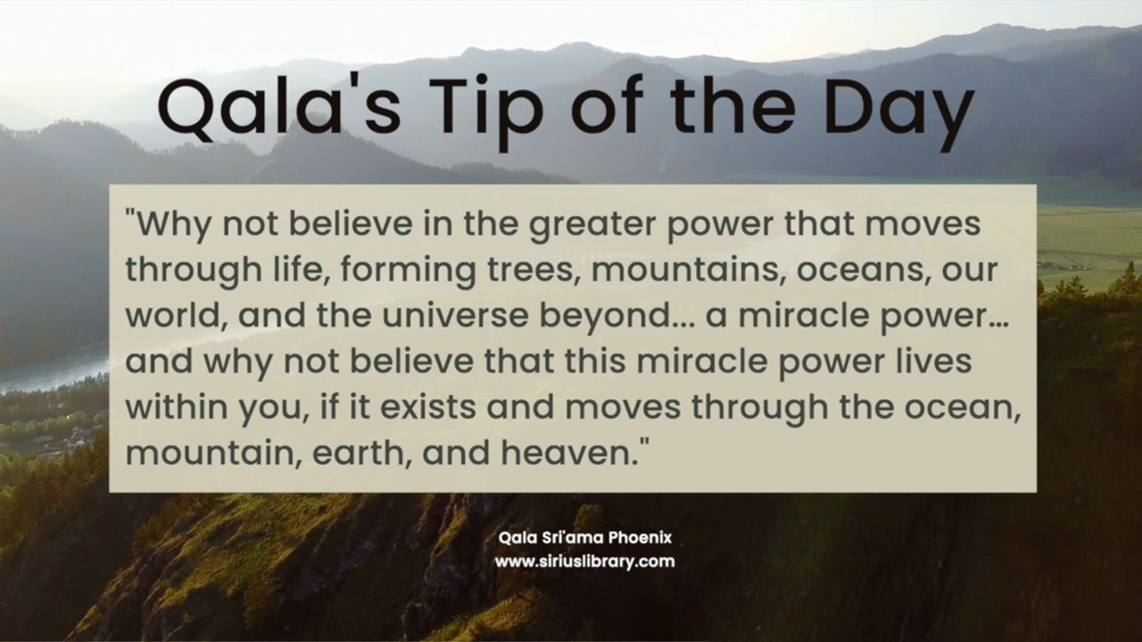 Qala's Tip for the Day
