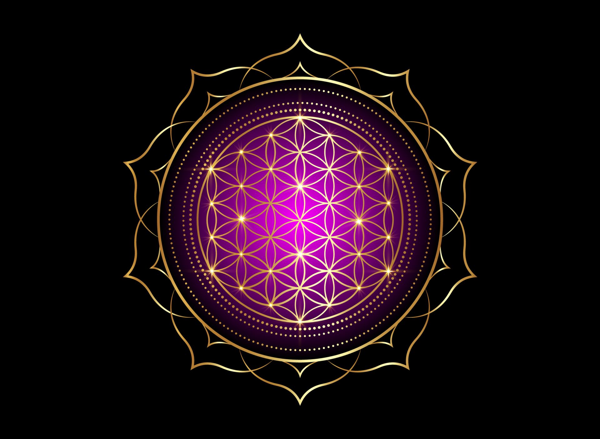 Join the New Secret Teachings LIVE Webinars with Qala