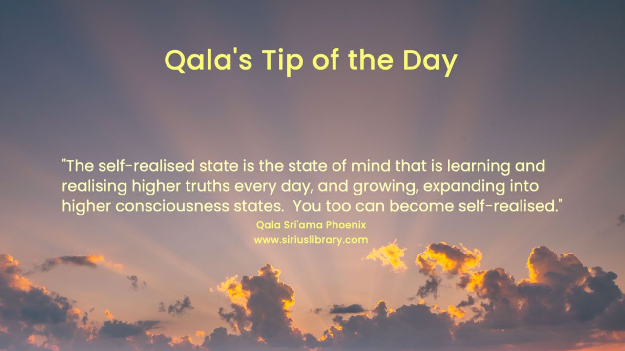 Qala's Tip for the Day