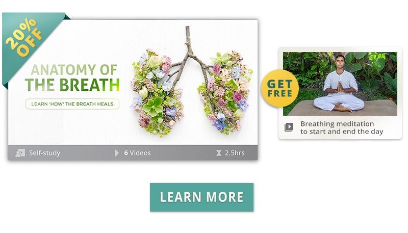 Holiday Special Offer - Anatomy Of Breath + FREE 2 Breathing Meditation ...