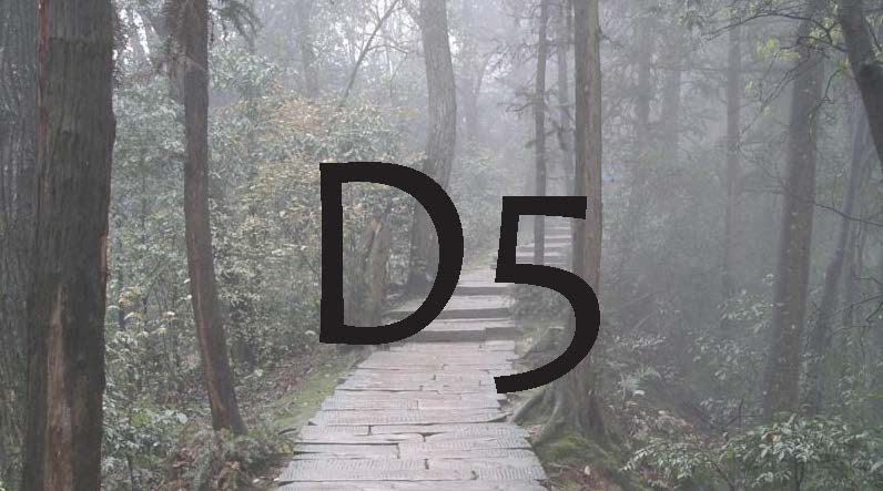 D5 - Perceiving Vastness (Second Offering)