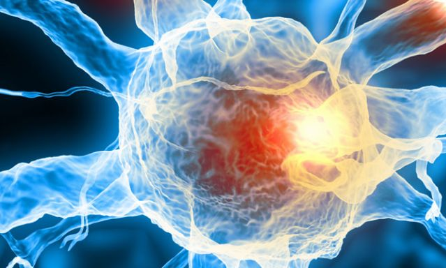 VCE Head Start - Unit 1 Biology