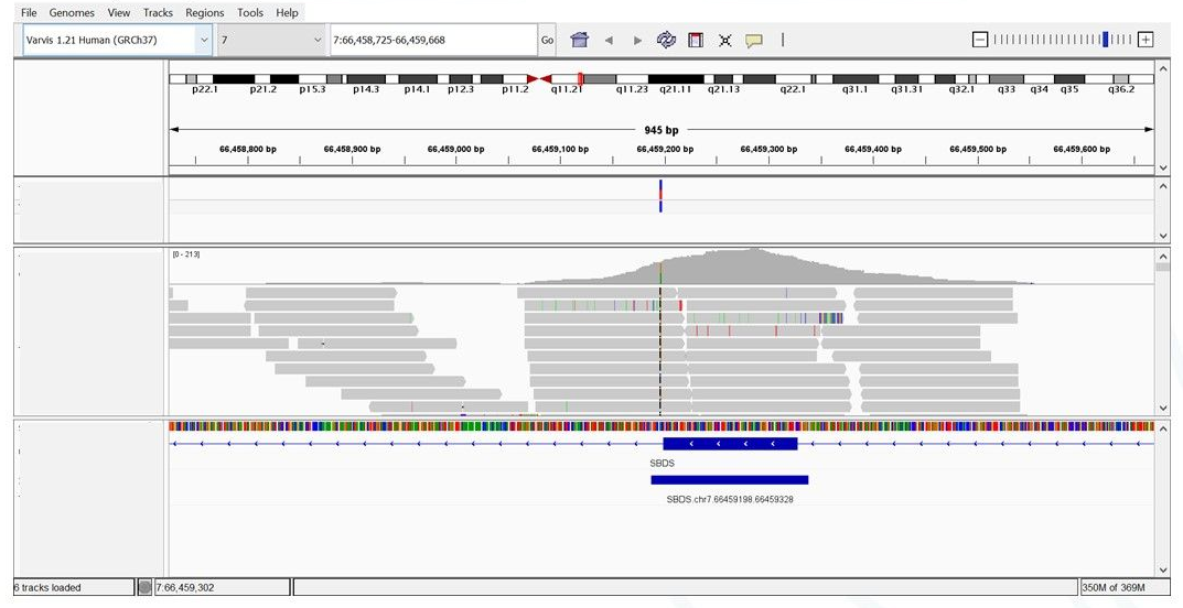 Integrative Genomics Viewer (IGV)