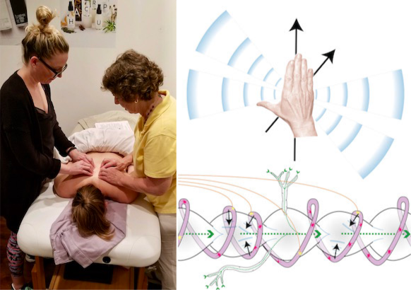 Advanced Vodder Manual Lymphatic Drainage: Trauma, Surgery, Pathology