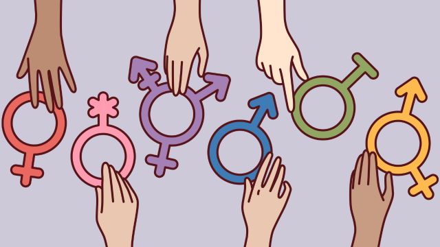 What is a gender lens?